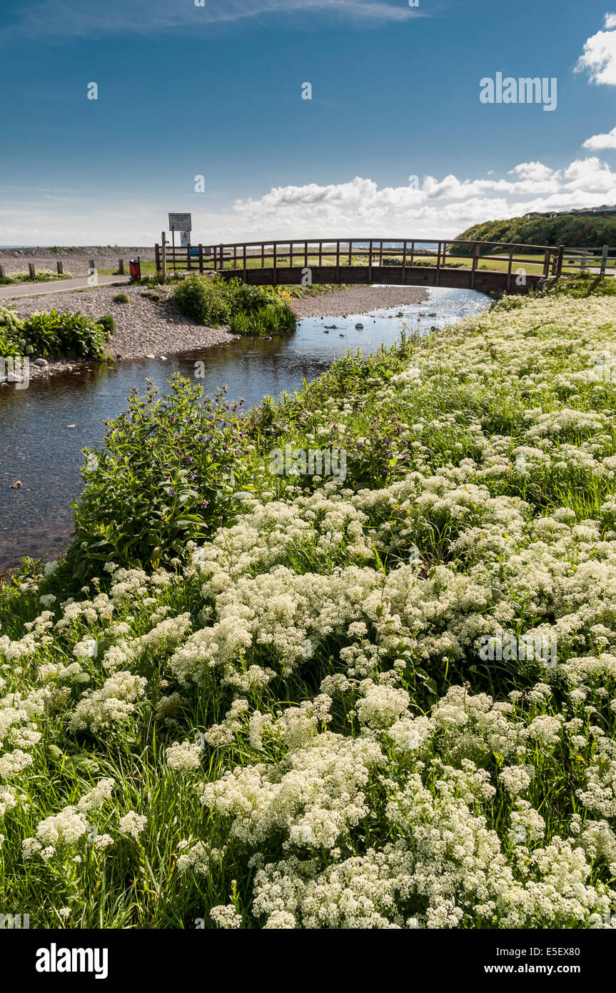 River Dulas on the coast at Llanddulas North Wales Stock Photo - Alamy