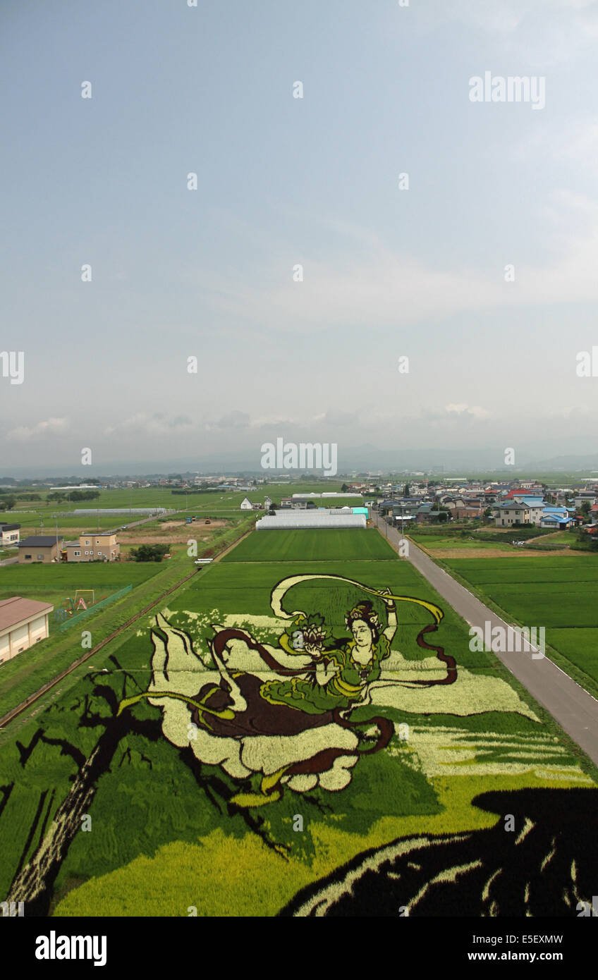 Rice paddy art on display in Inakadate Village in Aomori Prefecture on ...