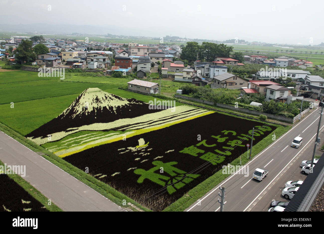 Rice paddy art on display in Inakadate Village in Aomori Prefecture on ...