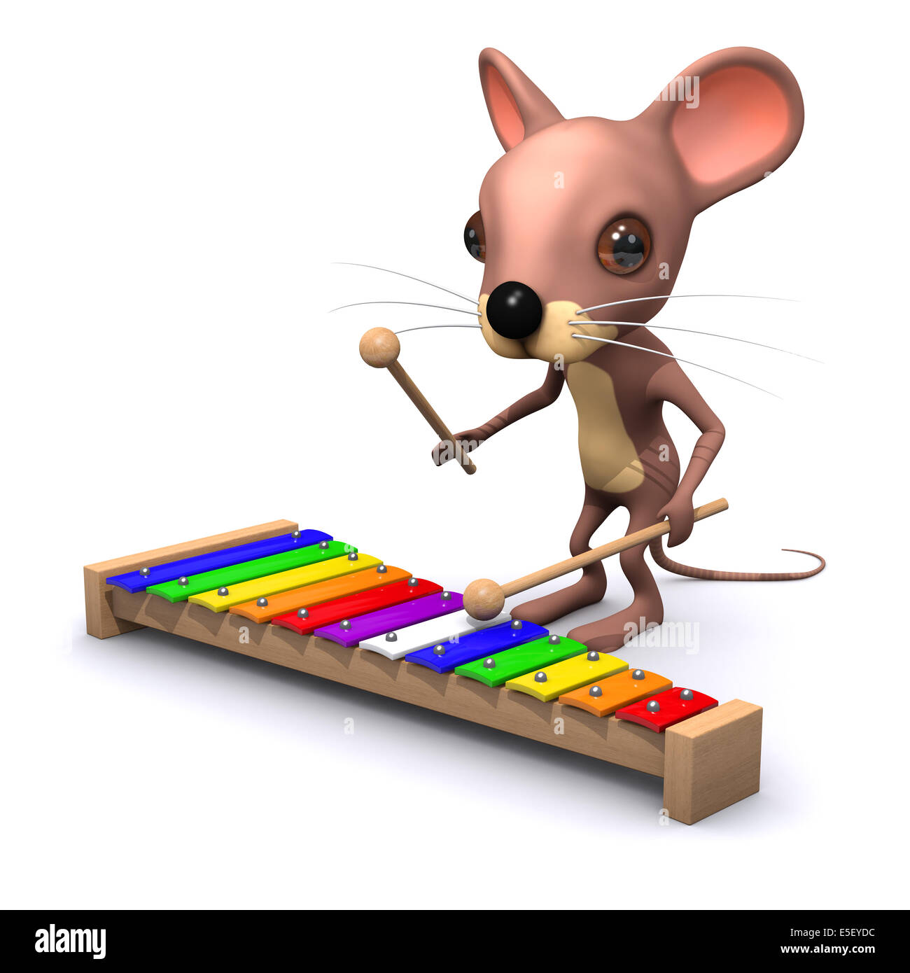 Xylophone animal hi-res stock photography and images - Alamy
