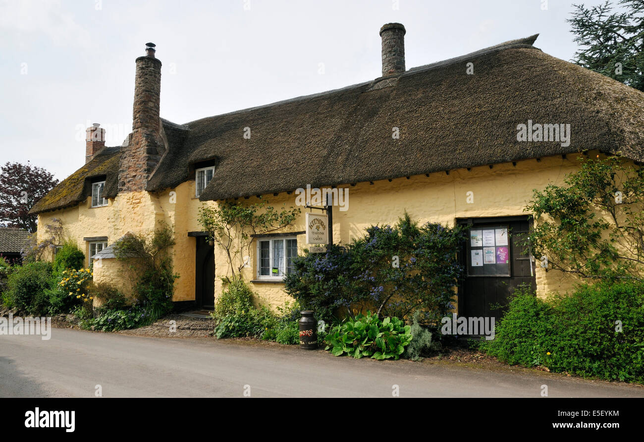 Thatched Cottage Tea Rooms, Bossington, nr. Porlock, Somerset Stock ...
