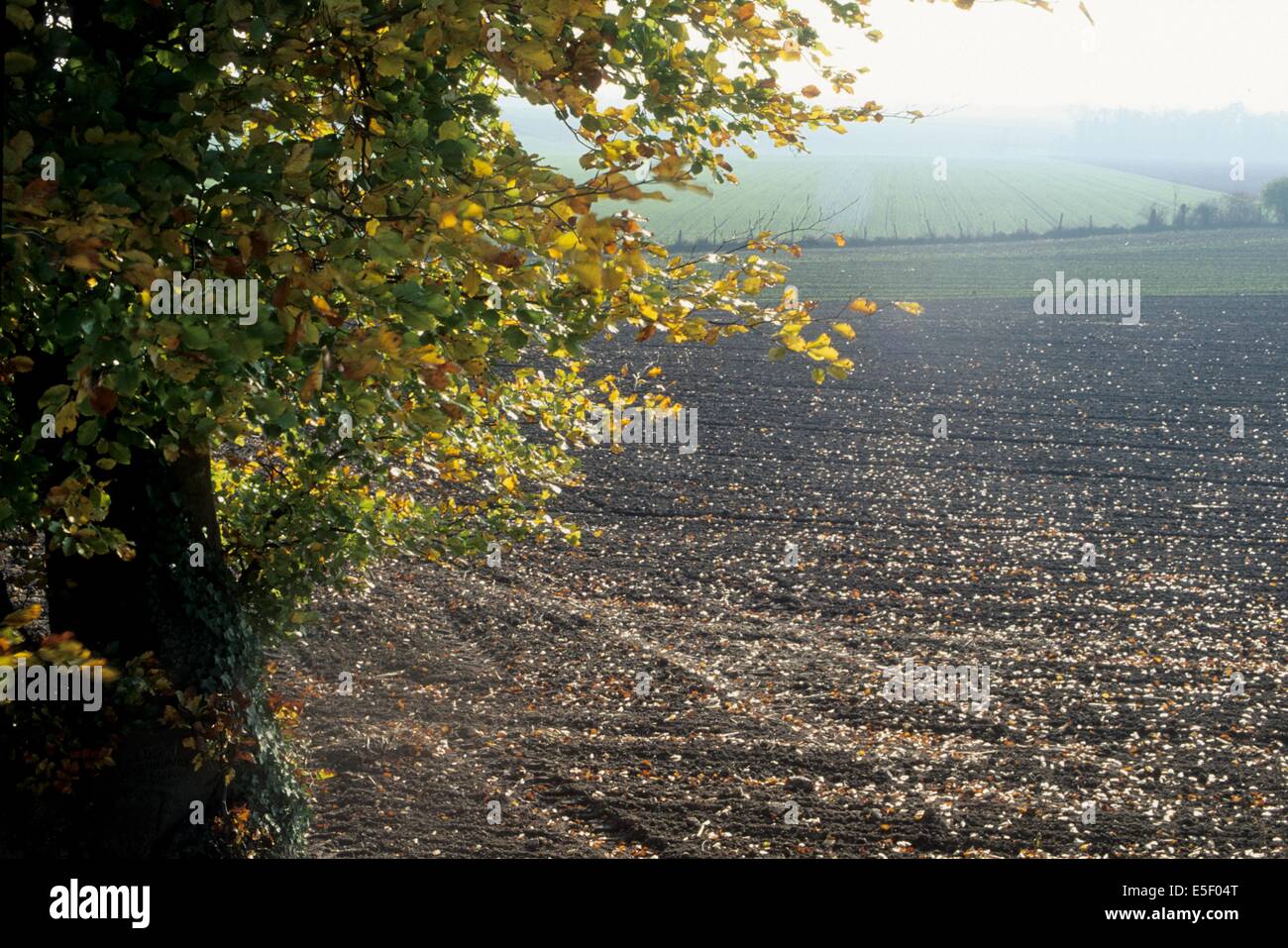 Paysage du valois hi-res stock photography and images - Alamy