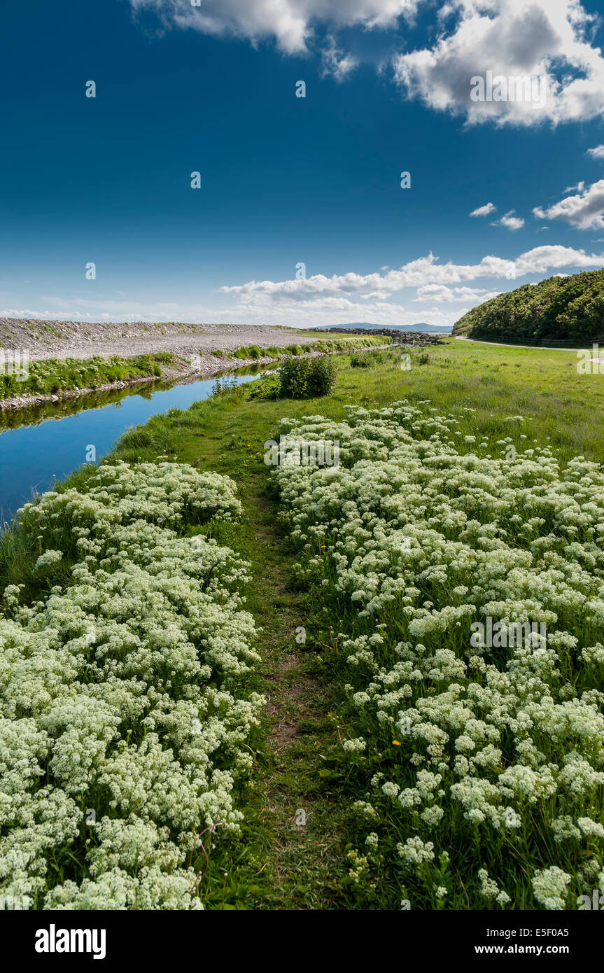 River Dulas on the coast at Llanddulas North Wales Stock Photo - Alamy