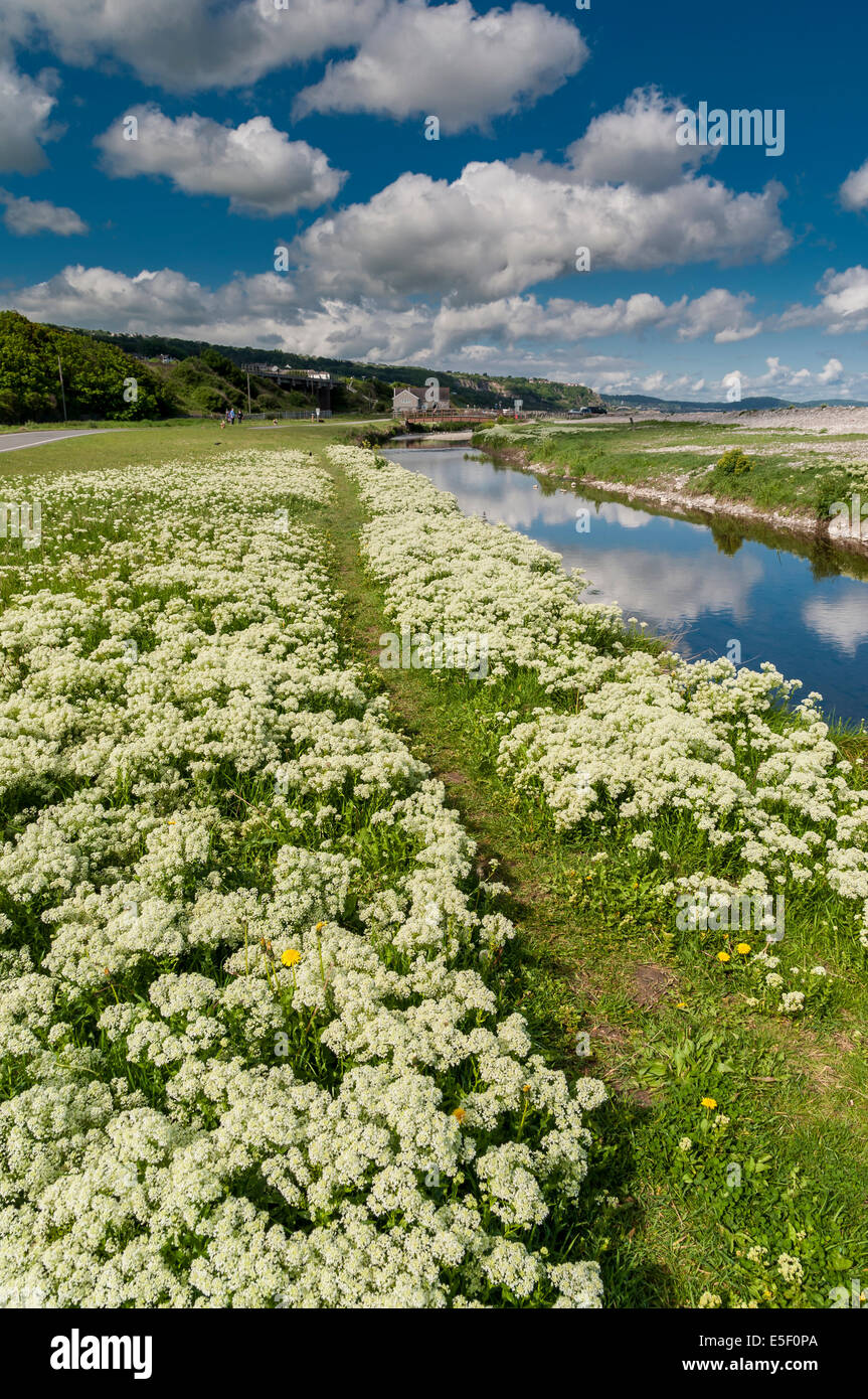 River Dulas on the coast at Llanddulas North Wales Stock Photo - Alamy