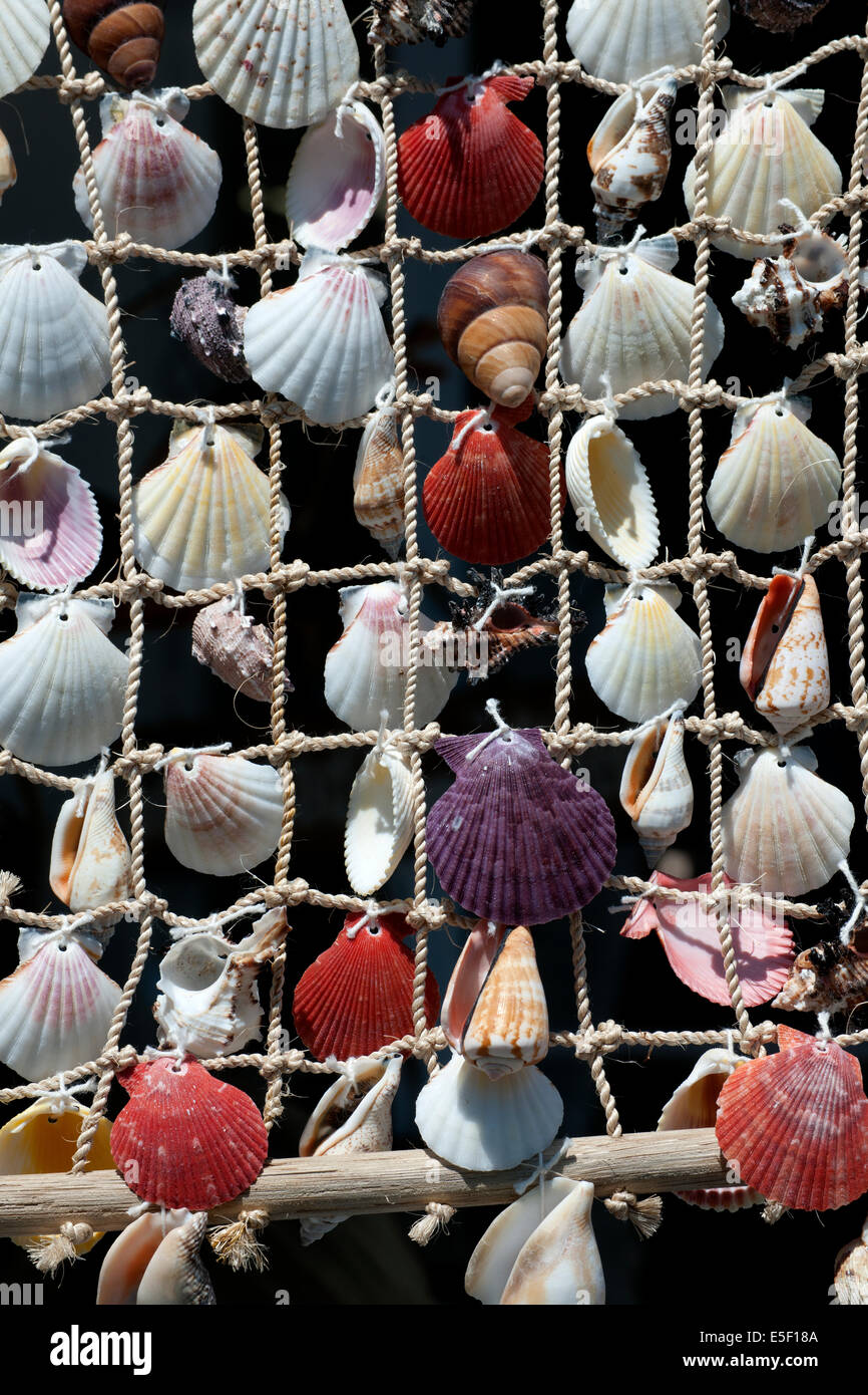 Souvenir shells hi-res stock photography and images - Alamy