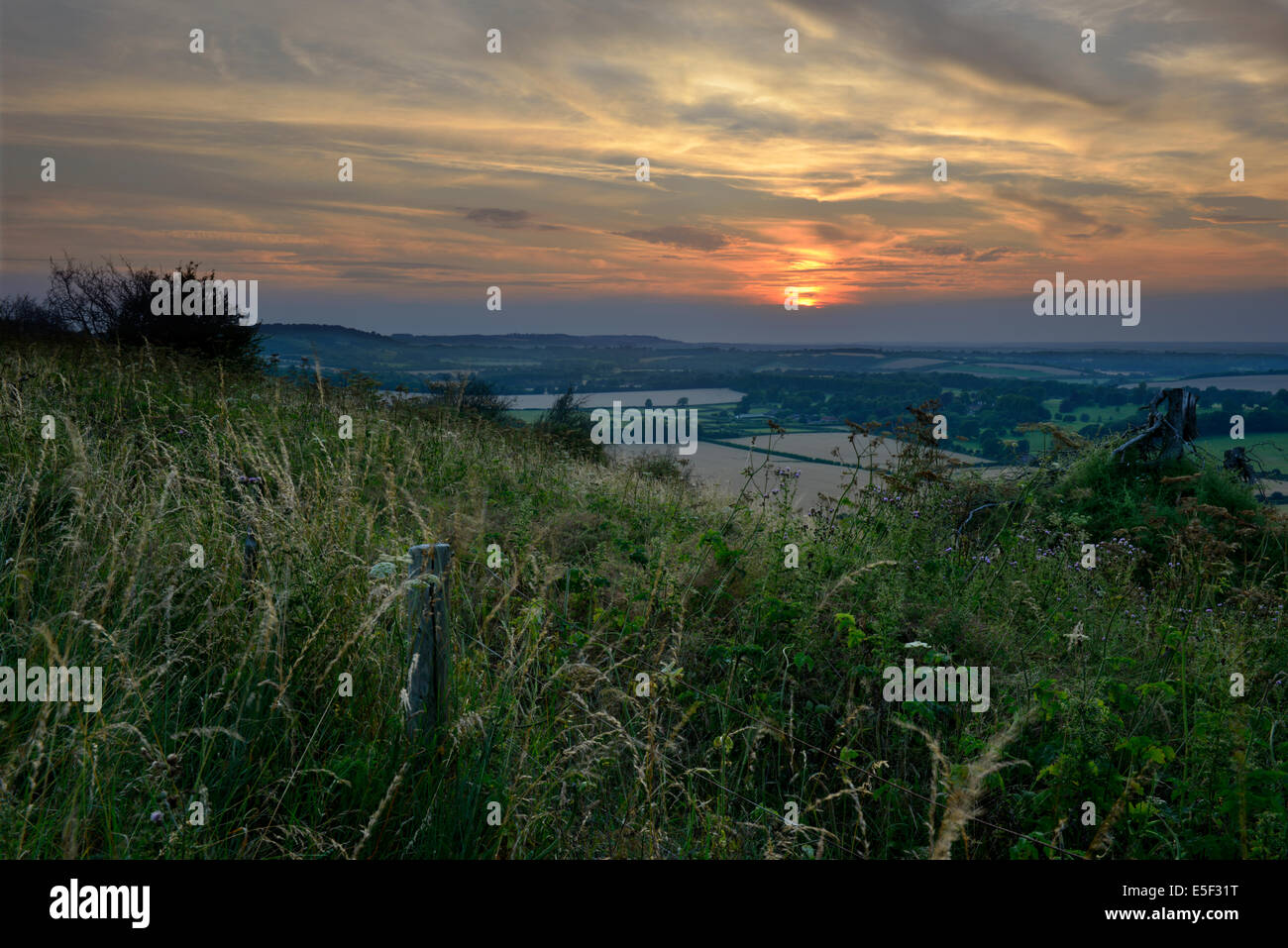 Summer sunset over the Berkshire Downs near Kingsclere Stock Photo - Alamy