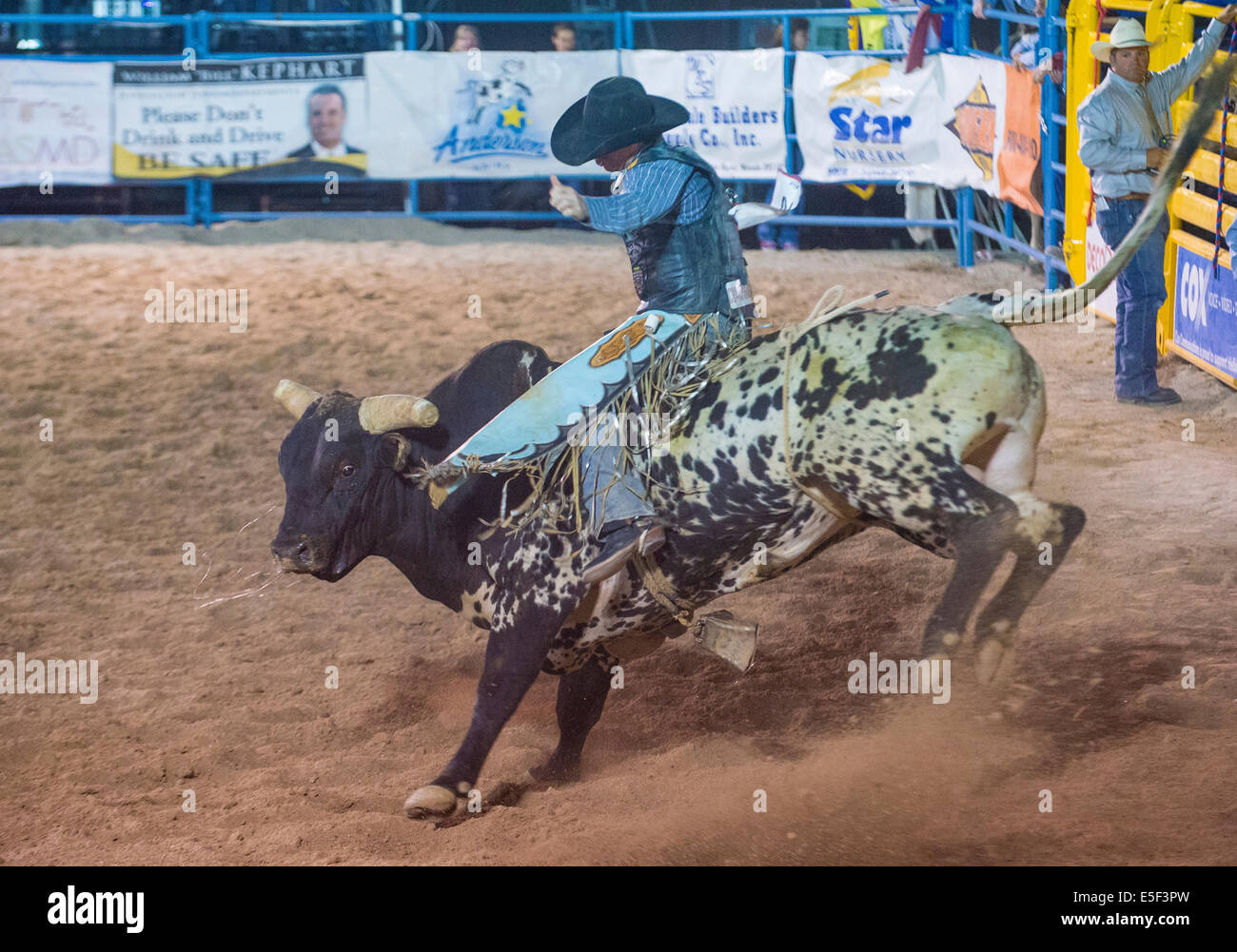 Cowboy Participating in a Bull riding Competition at the Helldorado ...