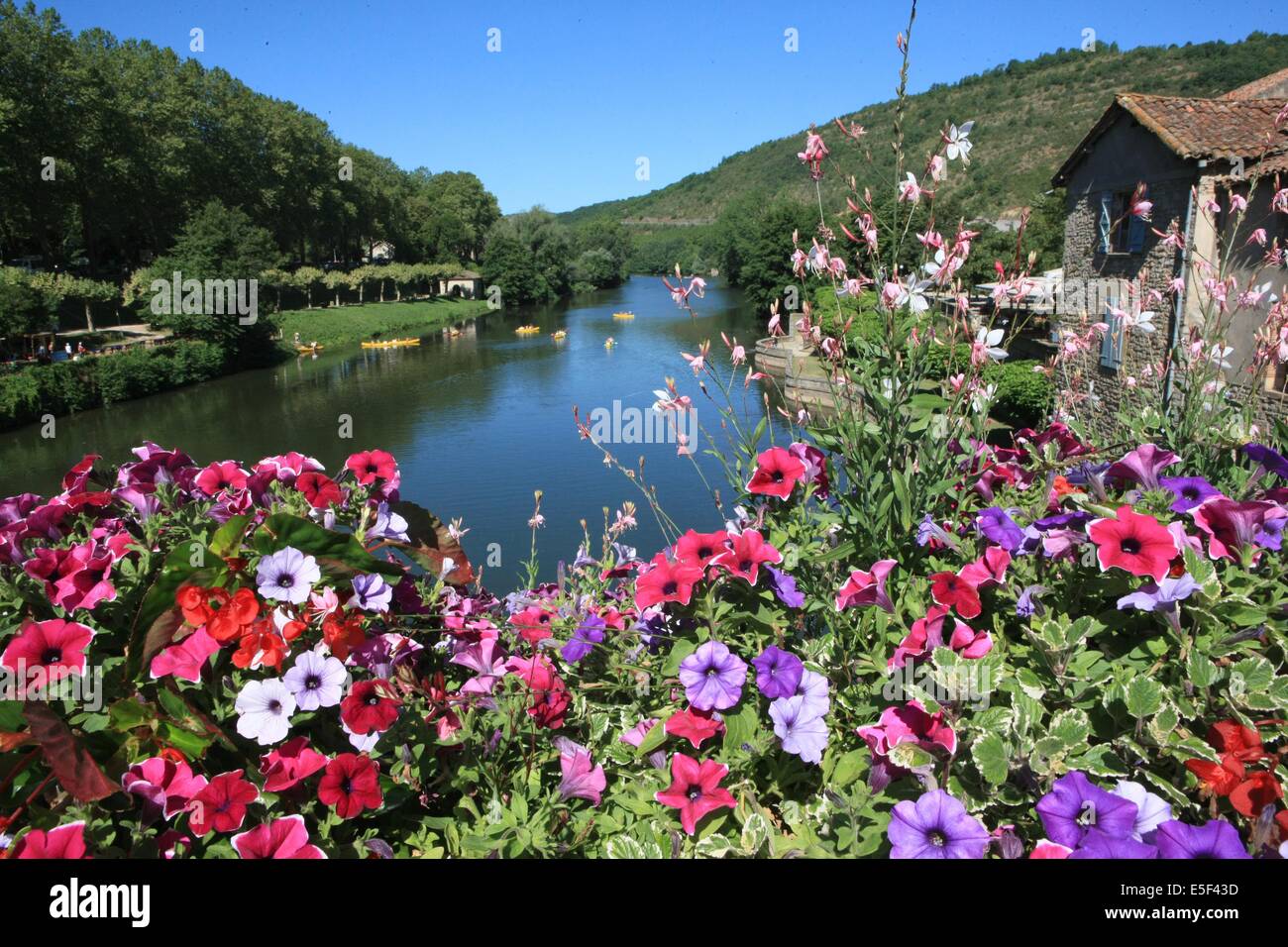 france, region midi pyrenees, tarn et garonne, 82, gorges de l'aveyron ...