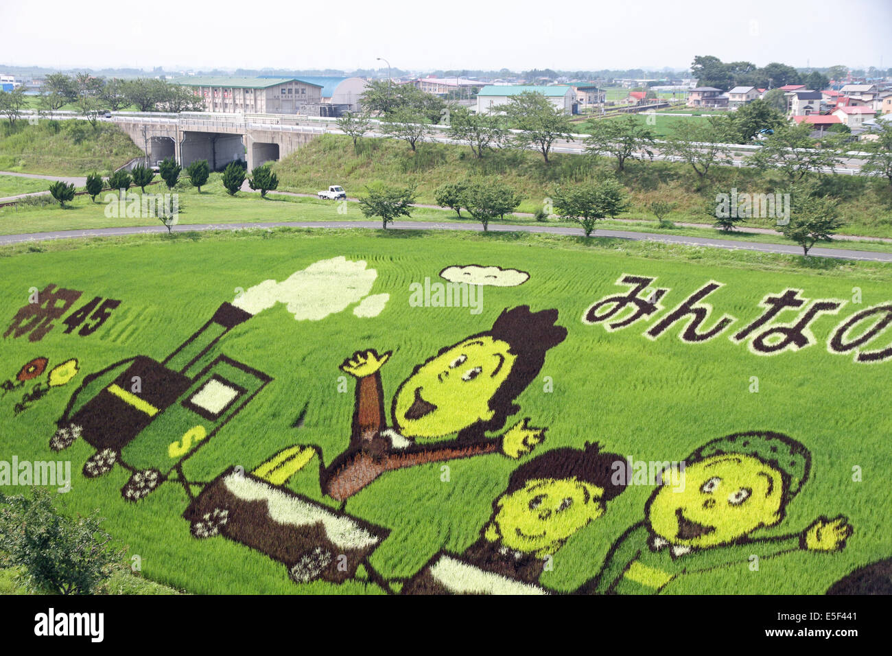 Rice paddy art on display in Inakadate Village in Aomori Prefecture on ...