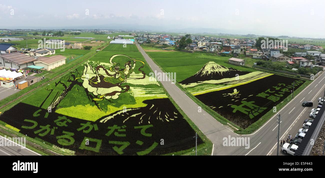 Rice paddy art on display in Inakadate Village in Aomori Prefecture on ...
