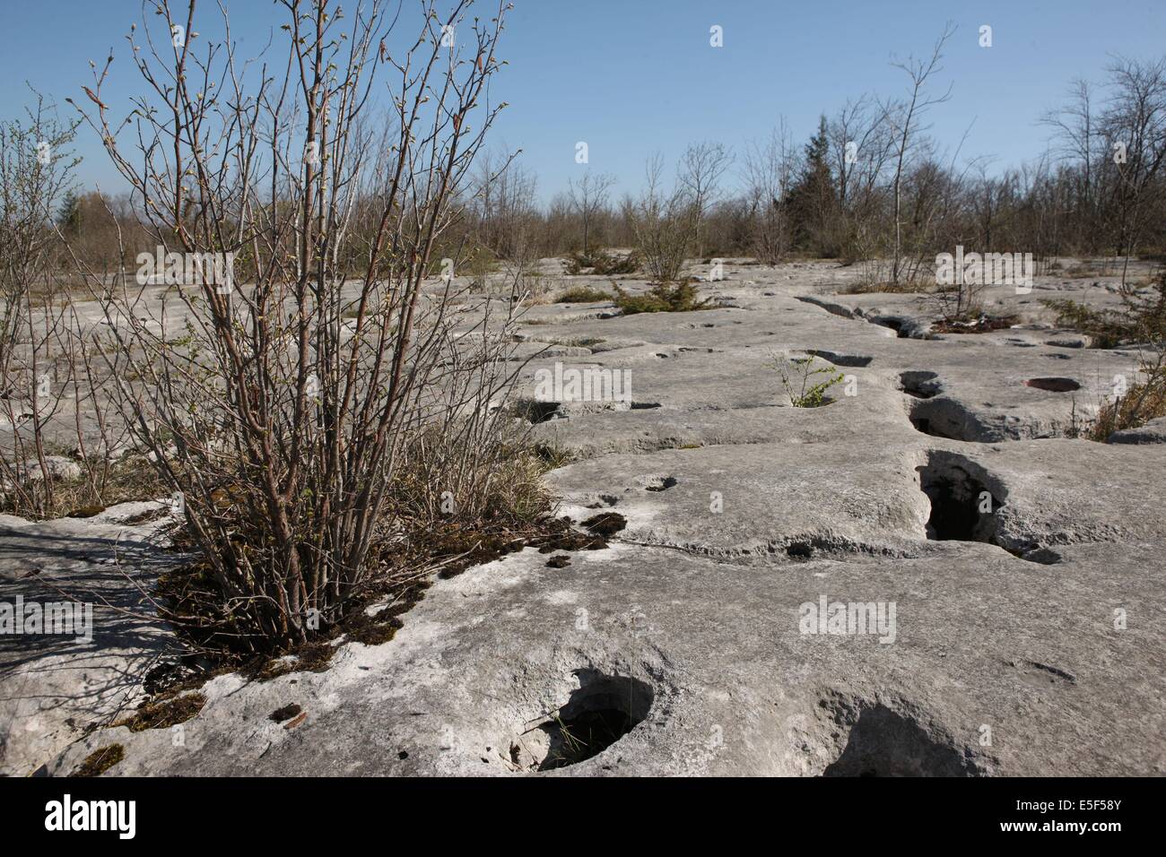 France, franche comte, jura, loulle, les lapiaz de loulle, sol ...