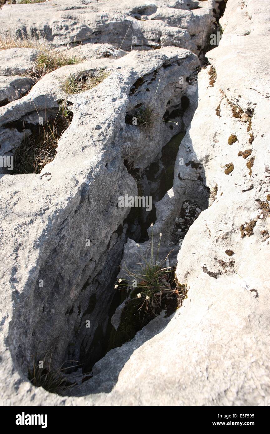Limestone Pavement Lapiaz High Resolution Stock Photography and Images ...