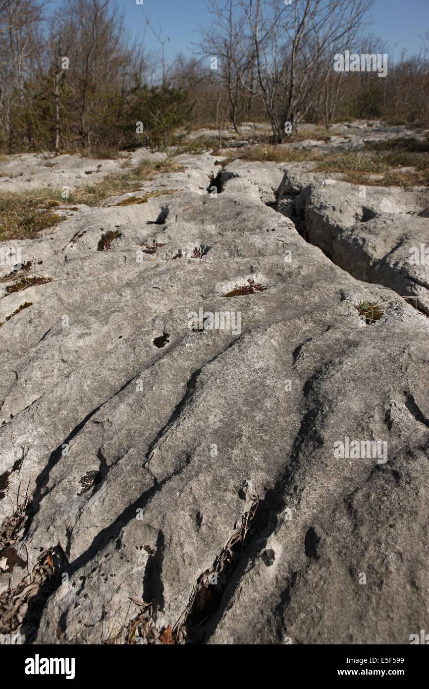 France, franche comte, jura, loulle, les lapiaz de loulle, sol ...
