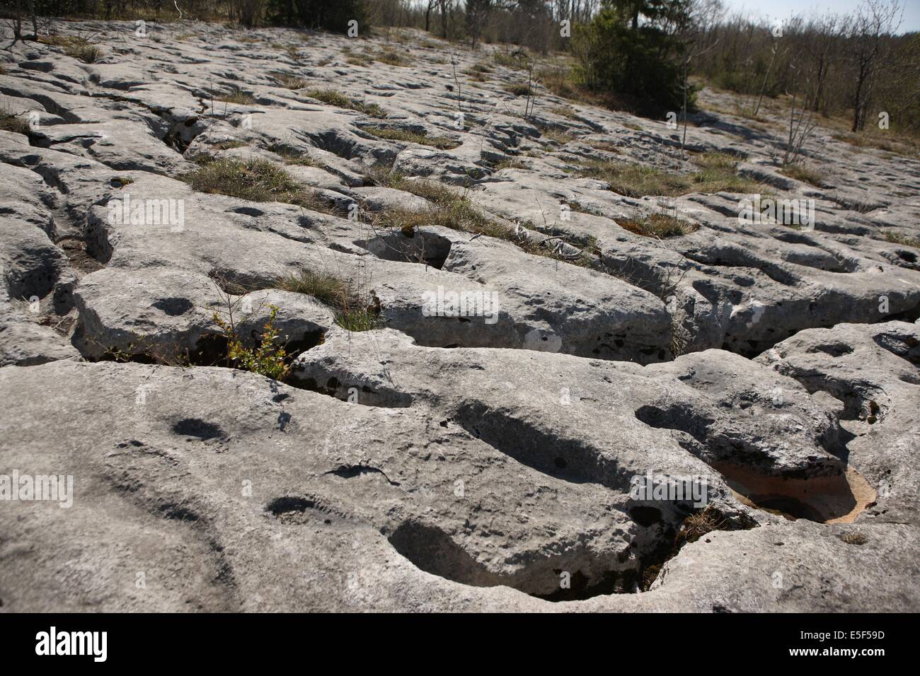 France, franche comte, jura, loulle, les lapiaz de loulle, sol ...