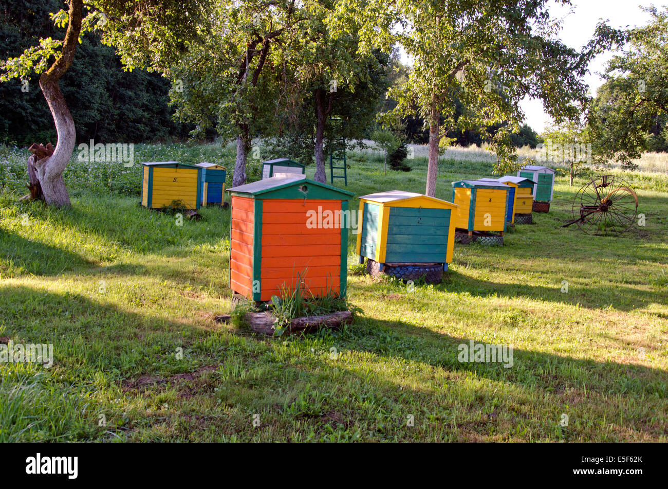Beekeeping garden hi-res stock photography and images - Alamy