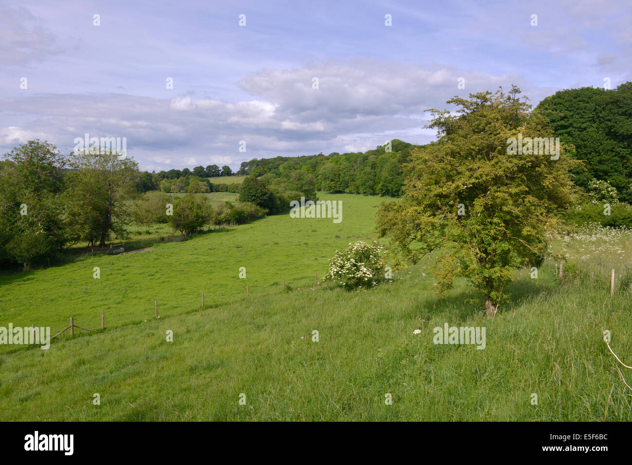 Test valley hi-res stock photography and images - Alamy