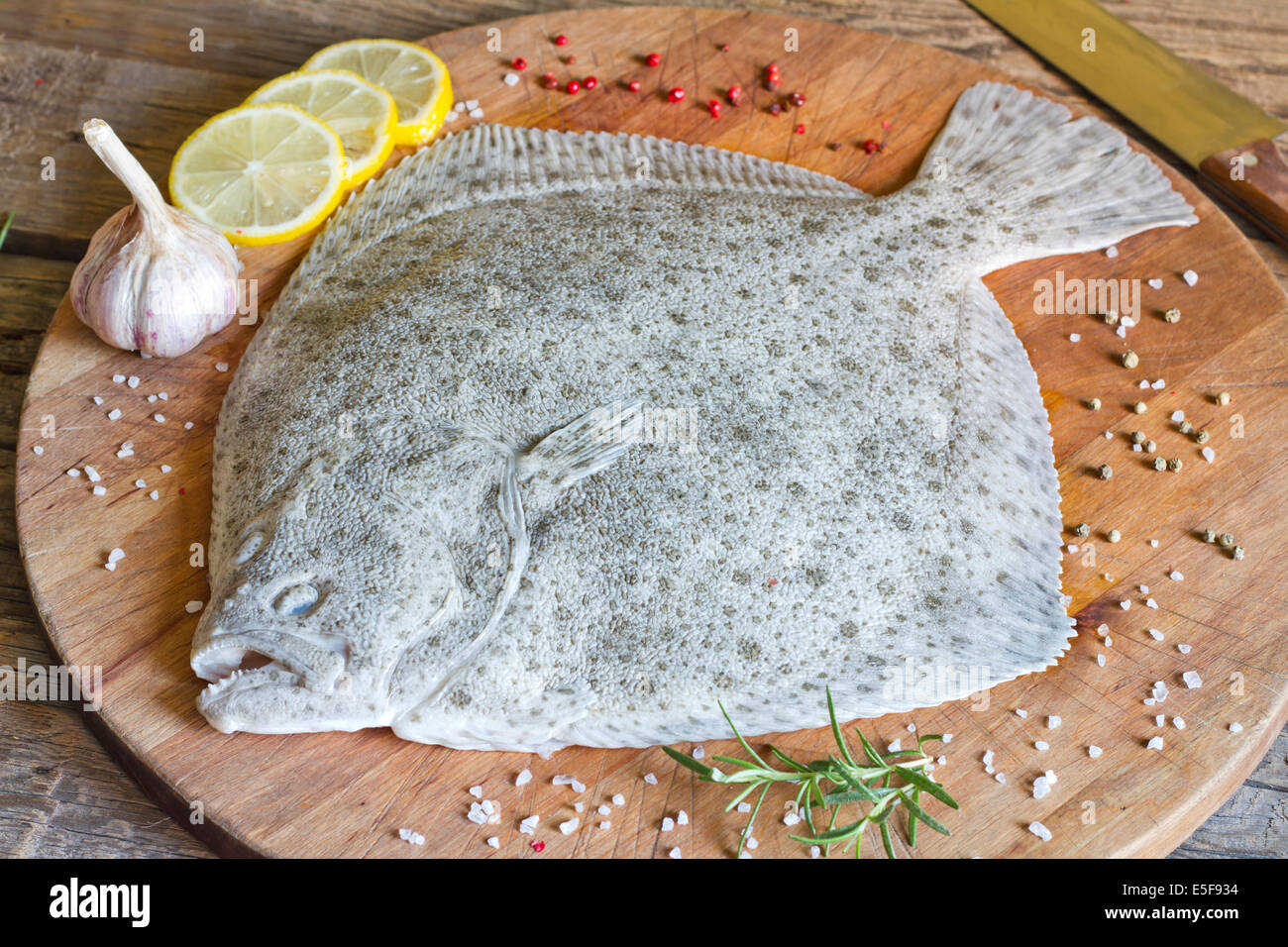 Turbot Sea High Resolution Stock Photography and Images - Alamy