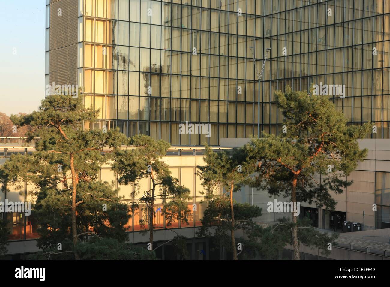 France, ile de france, paris 13 arrondissement, bibliotheque nationale ...