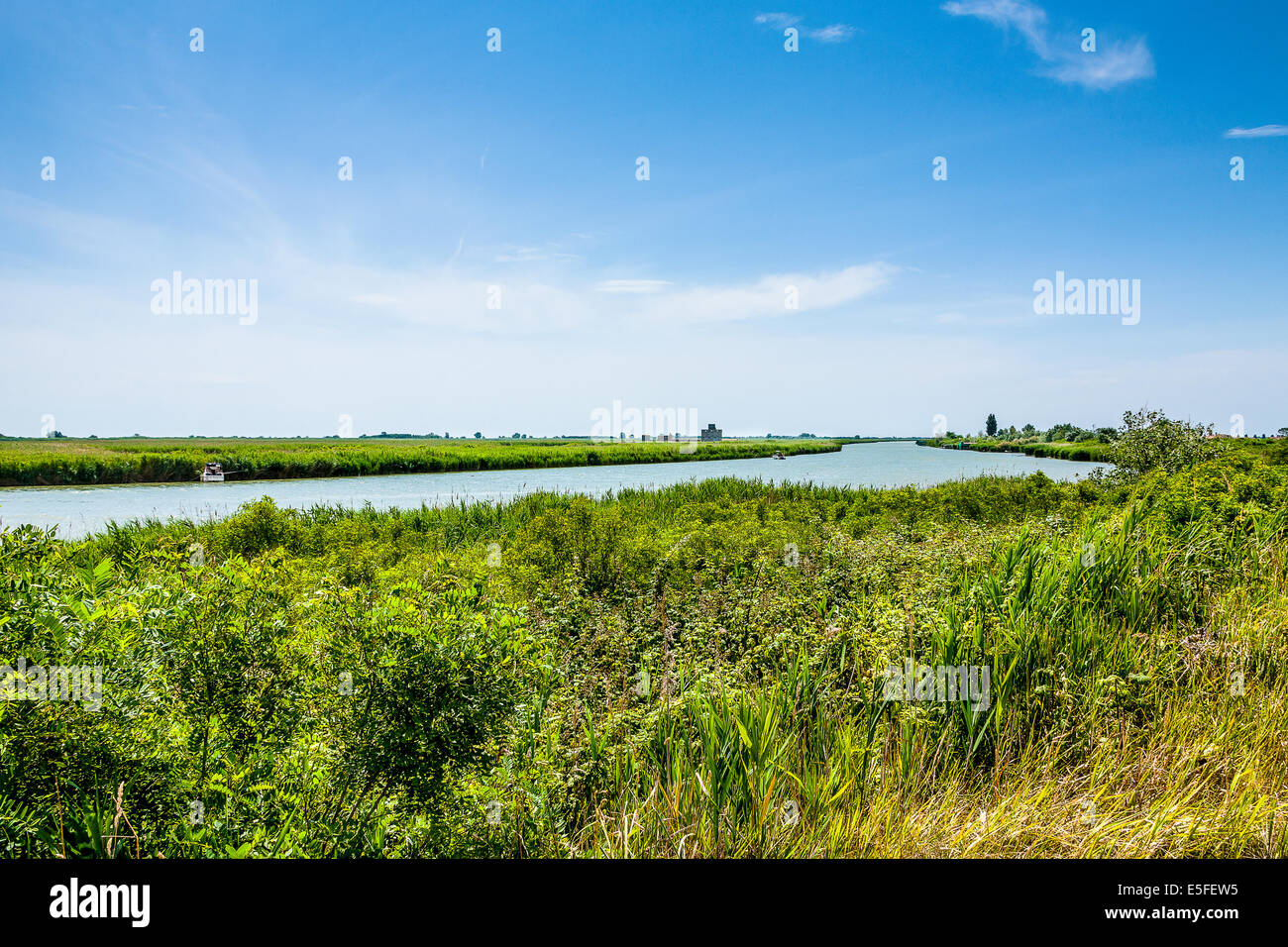Regional natural park of the po delta hi-res stock photography and ...