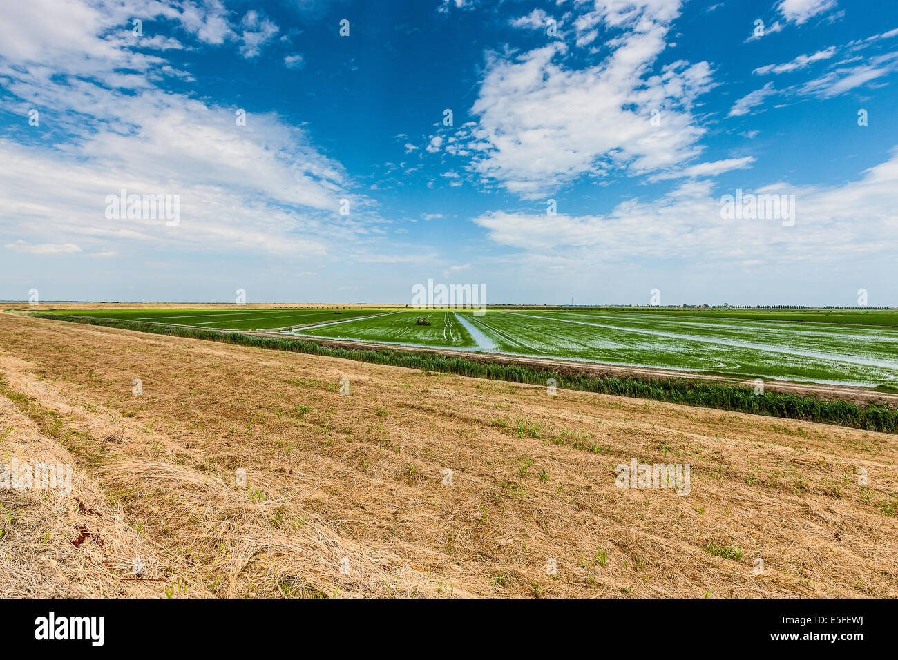 Po delta regional park hi-res stock photography and images - Alamy