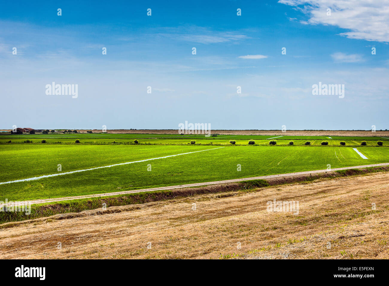 The Po Delta / Environs of Barricata Stock Photo - Alamy
