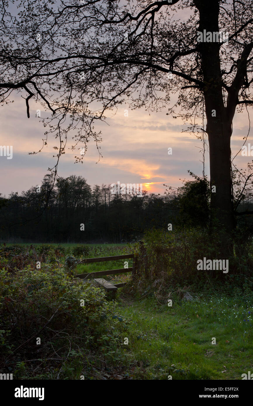 Typical norfolk hi-res stock photography and images - Alamy