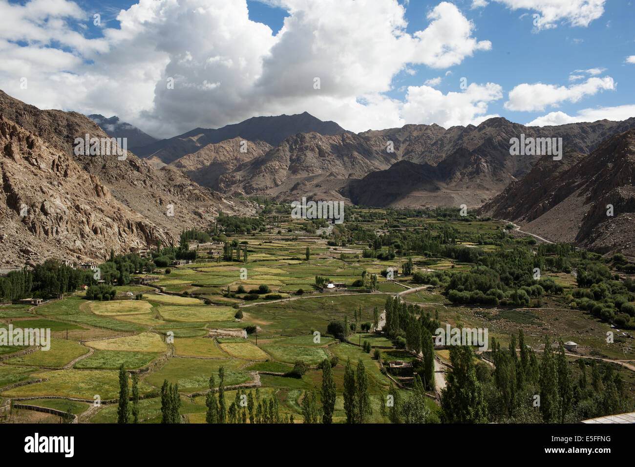 Ladakhhi hi-res stock photography and images - Alamy