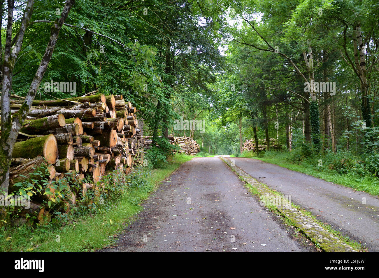 Grey big road hi-res stock photography and images - Alamy