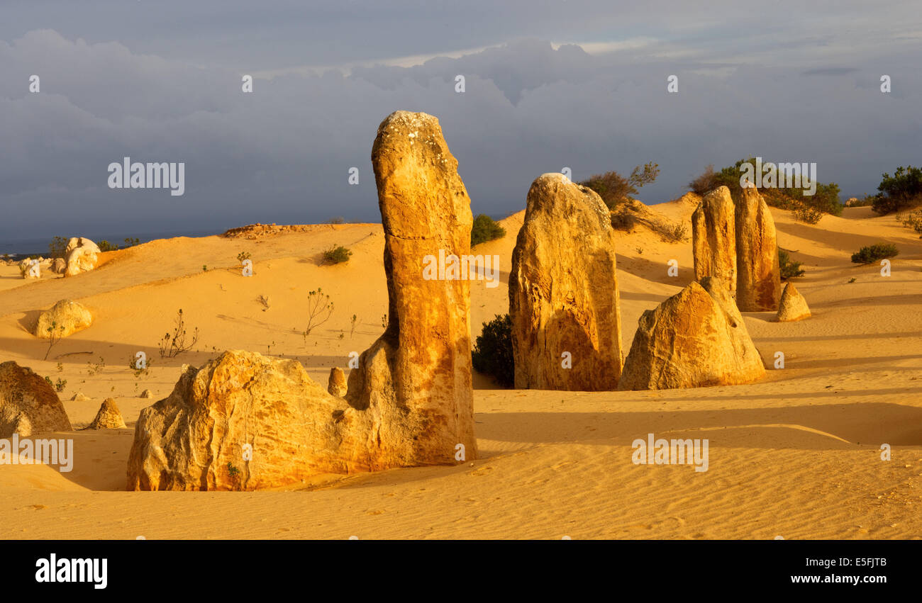 The Pinnacles are limestone formations contained within Nambung ...