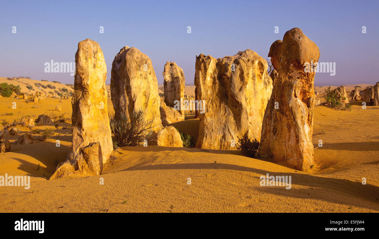 The Pinnacles are limestone formations contained within Nambung ...