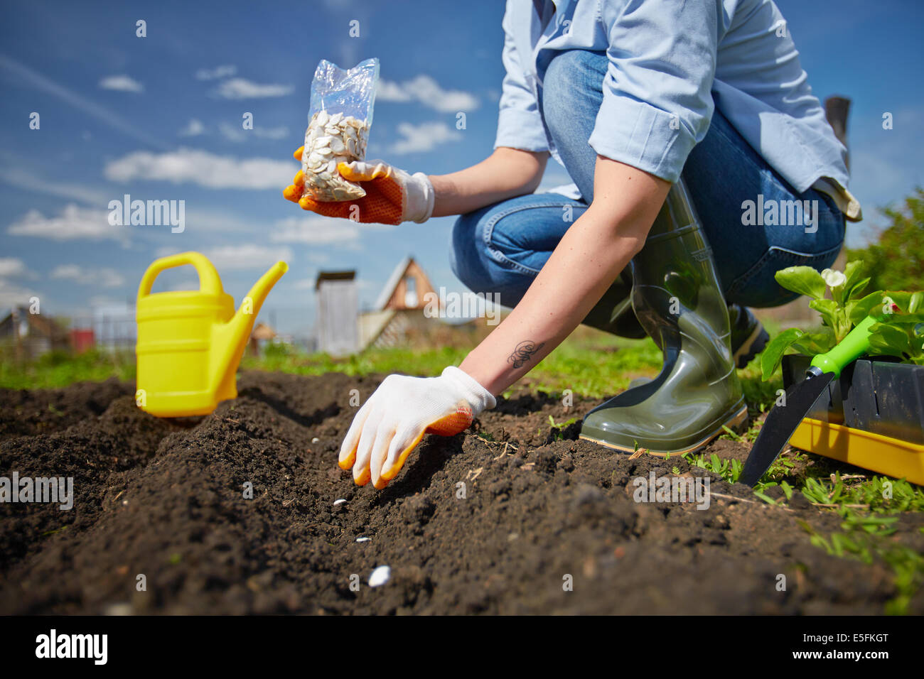 Image of female farmer sowing seed in the garden Stock Photo - Alamy