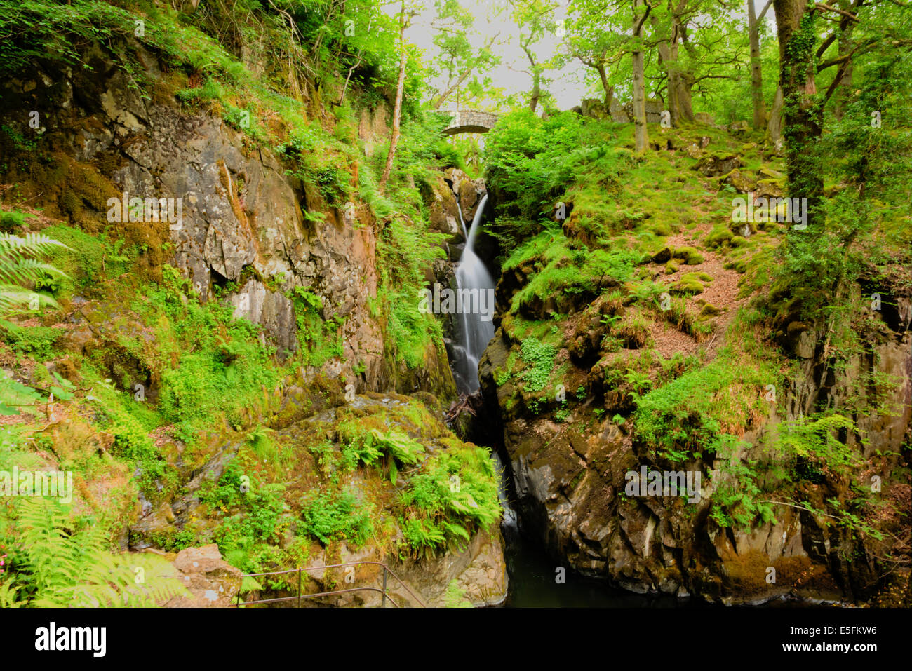 Aira Force waterfall Ullswater Valley Lake District Cumbria England UK ...