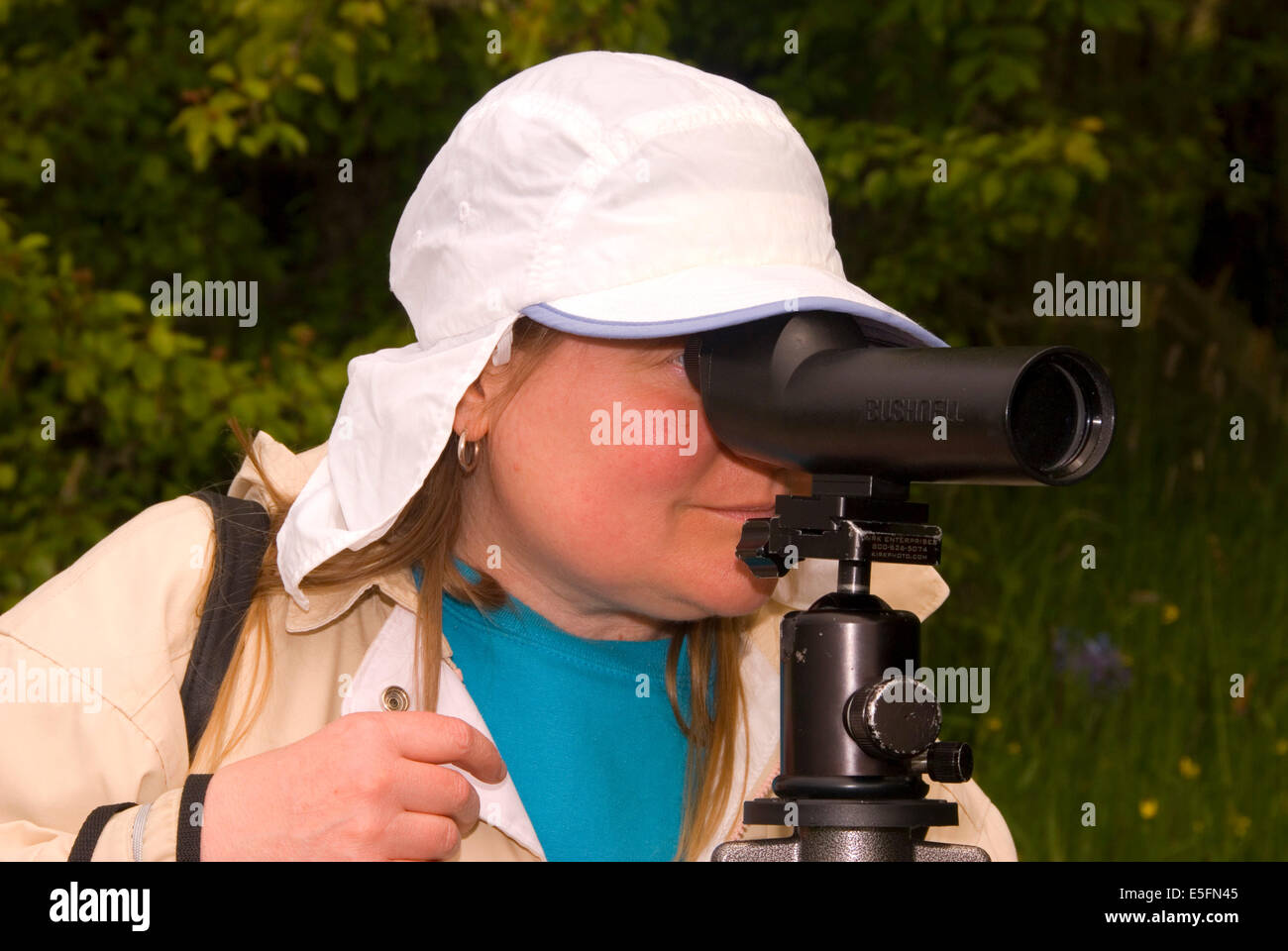 Birding, Fern Ridge Wildlife Area, Oregon Stock Photo - Alamy