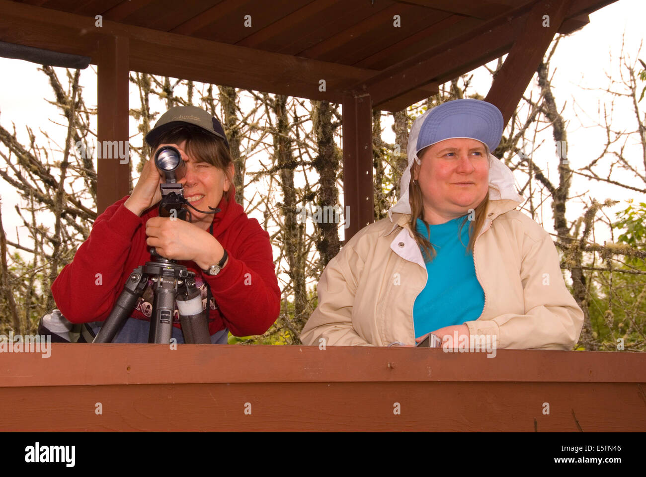 Birdwatching birding birders wildlife hi-res stock photography and ...