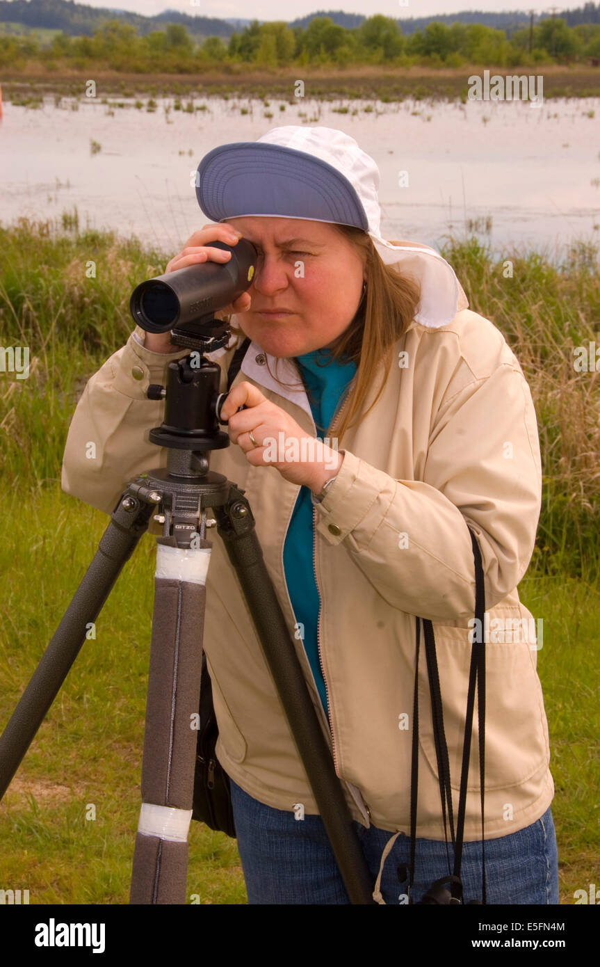 Fern ridge lake oregon hi-res stock photography and images - Alamy