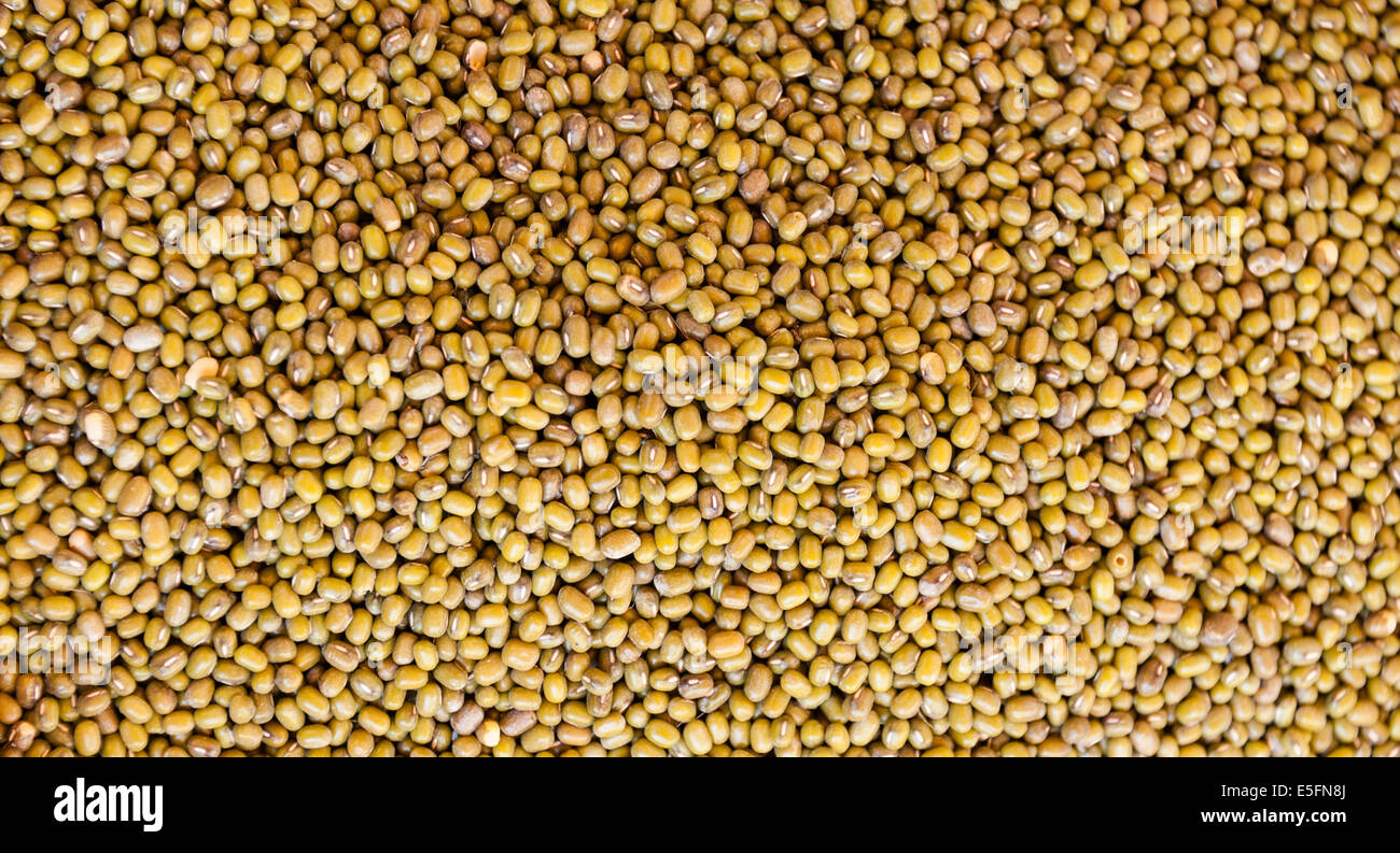 Common beans hi-res stock photography and images - Alamy