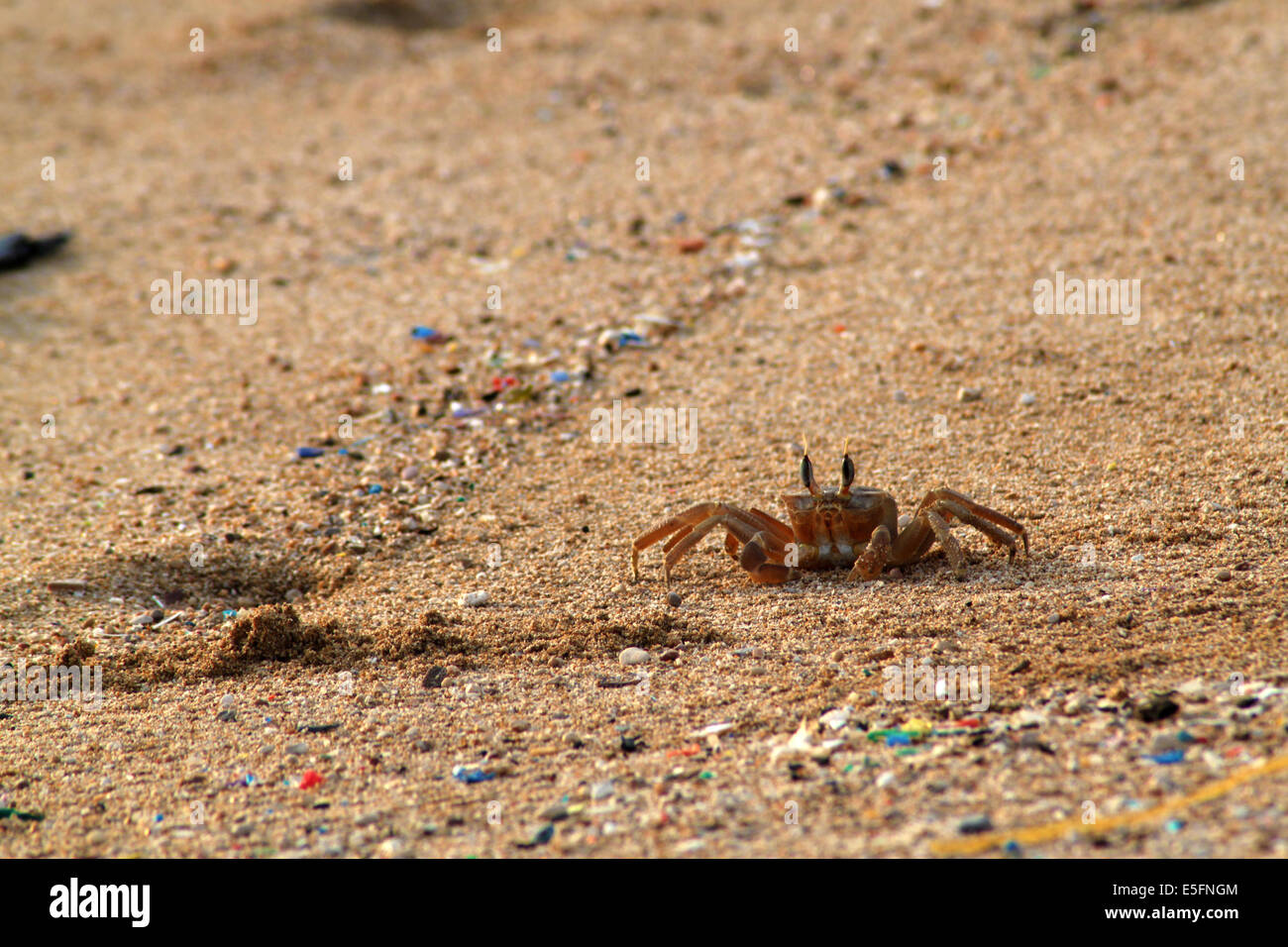 Crab walk hi-res stock photography and images - Alamy