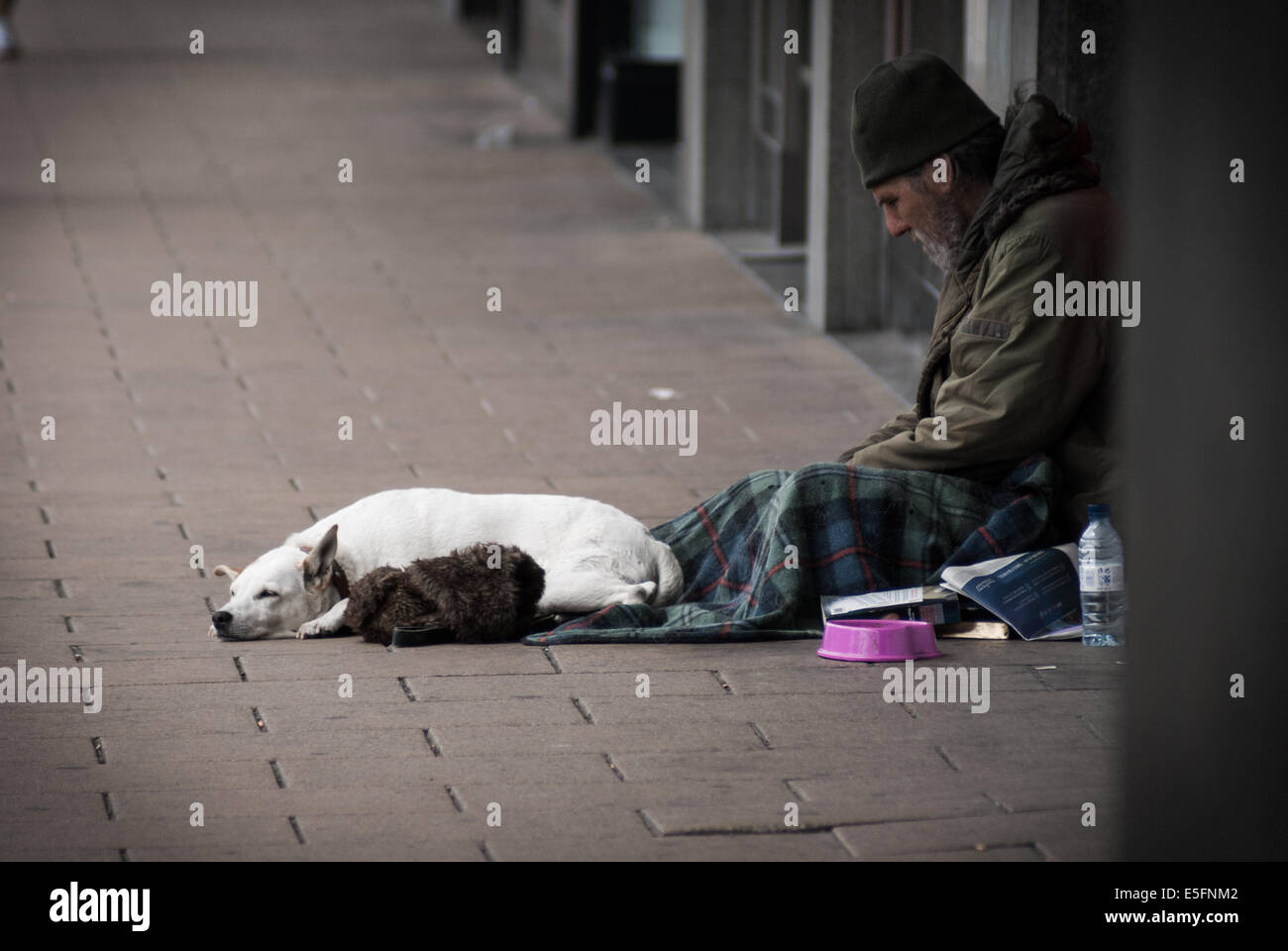 Homeless on Street with Dog Stock Photo - Alamy