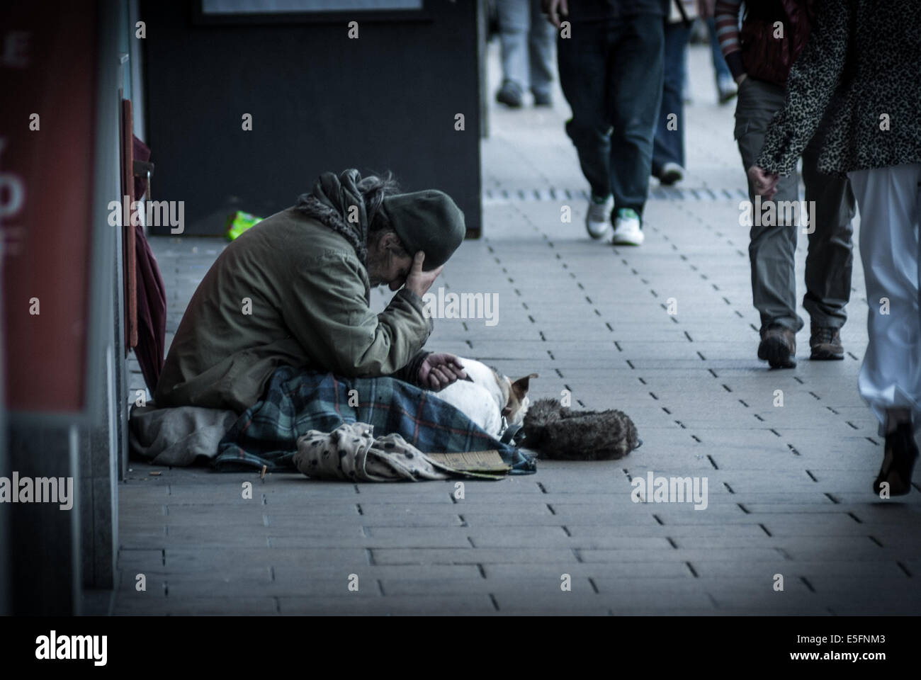Homeless on Street with Dog Stock Photo - Alamy