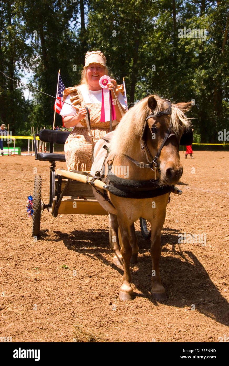 Miniature horse buggy with Dreamcatcher (horse), Miniature Horse Show ...