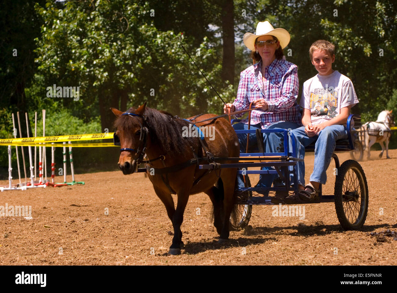 Miniature horse buggy with Happy (horse), Miniature Horse Show, Linn ...