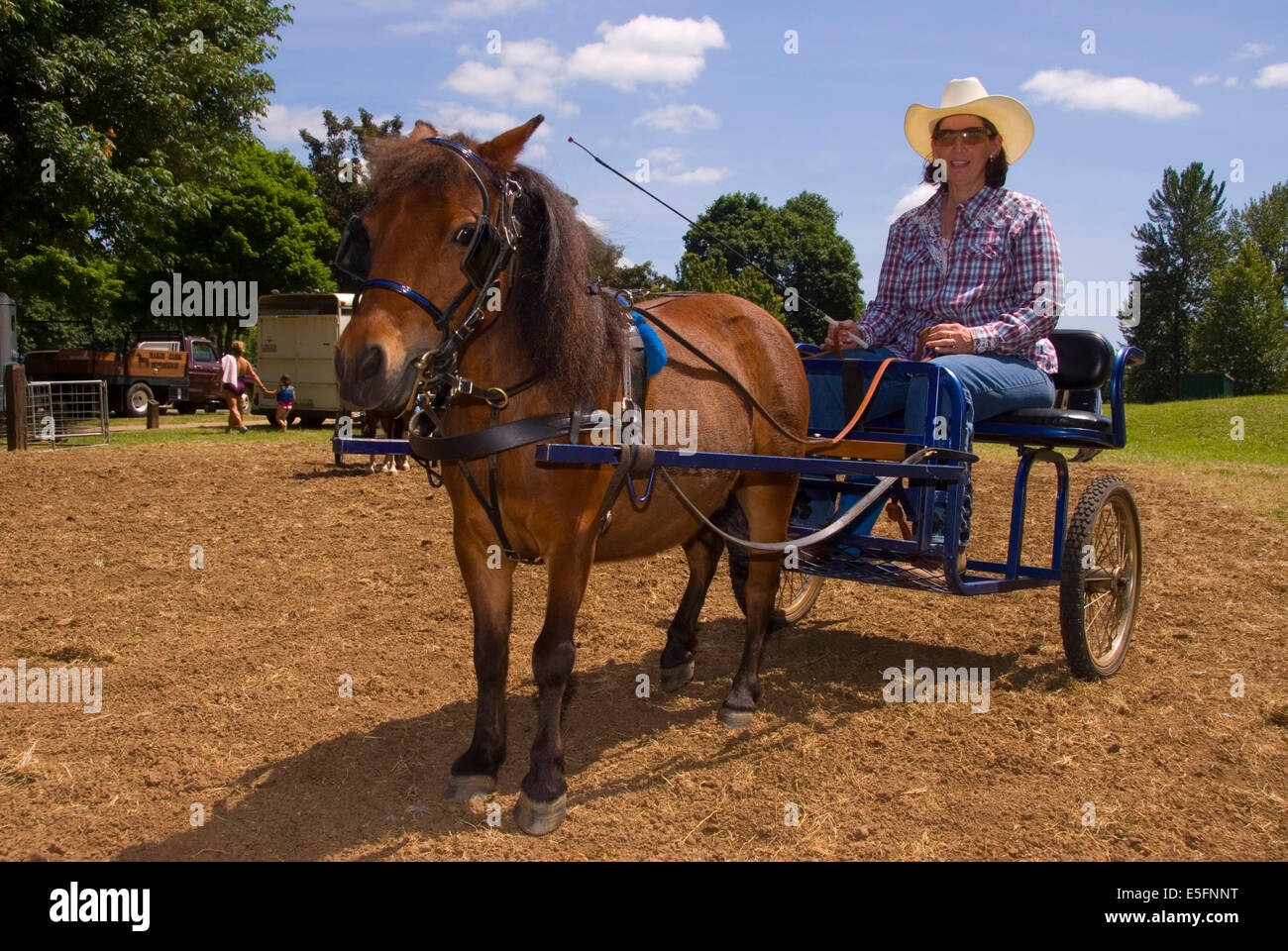 Miniature horse buggy with Happy (horse), Miniature Horse Show, Linn ...