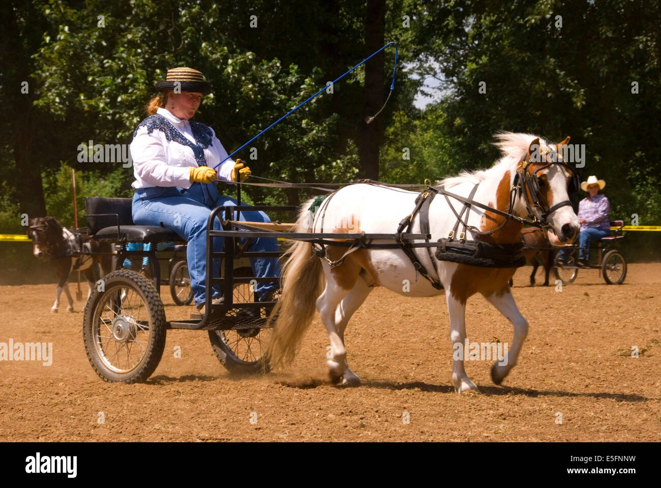Miniature horse buggy with Happy (horse), Miniature Horse Show, Linn ...