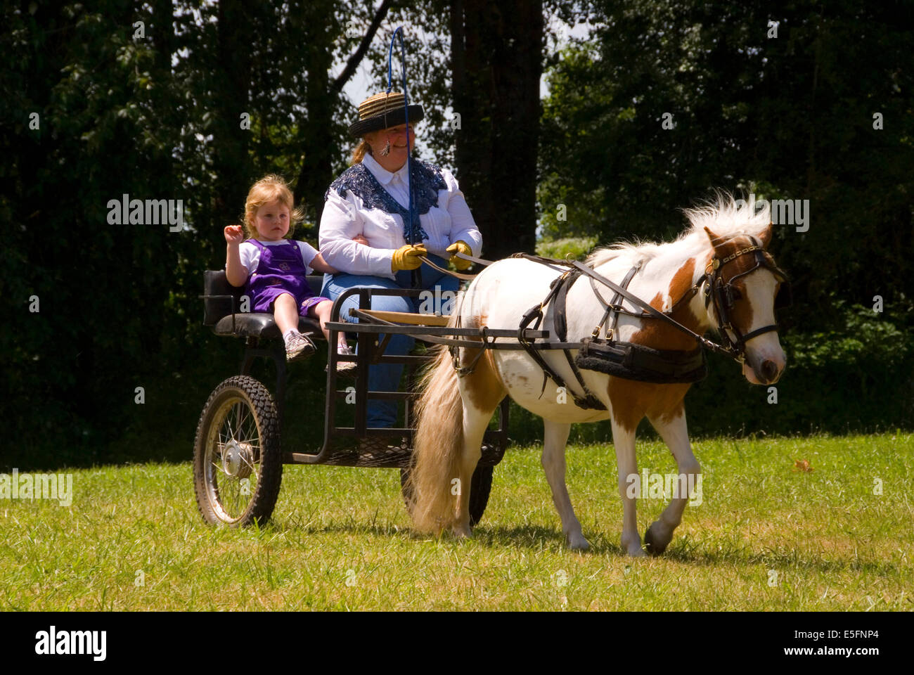 Miniature horse buggy with Happy (horse), Miniature Horse Show, Linn ...