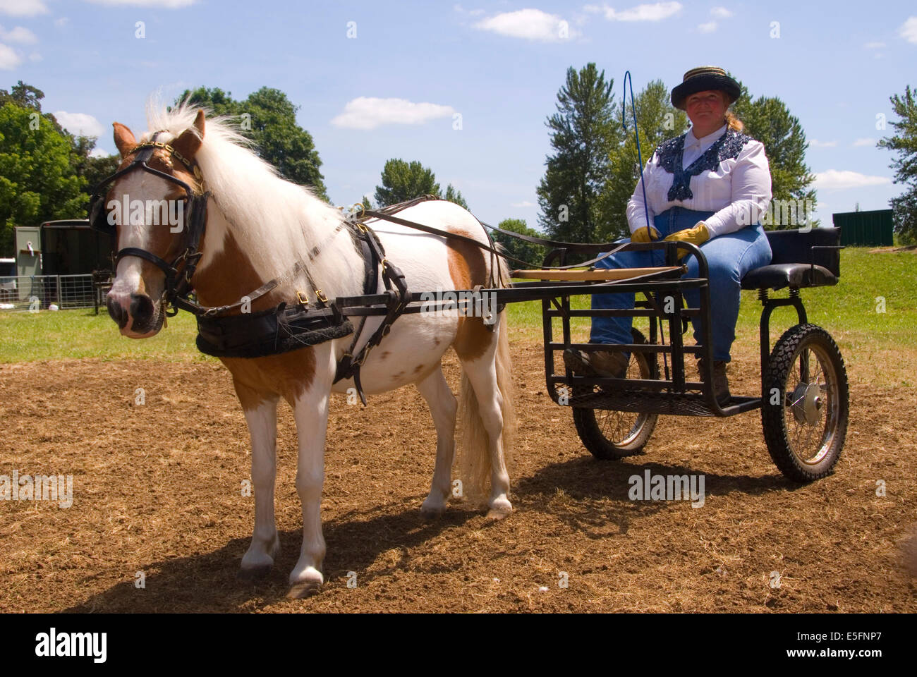 Miniature horse buggy with Happy (horse), Miniature Horse Show, Linn ...