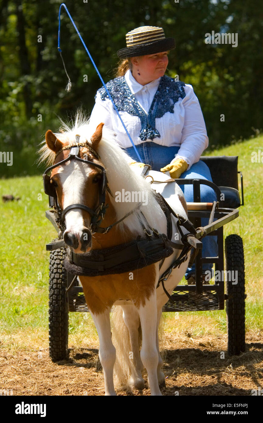 Miniature horse buggy with Happy (horse), Miniature Horse Show, Linn ...