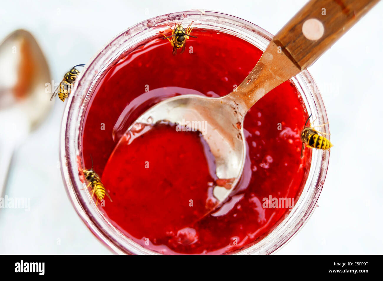 Wasps on jam hi-res stock photography and images - Alamy