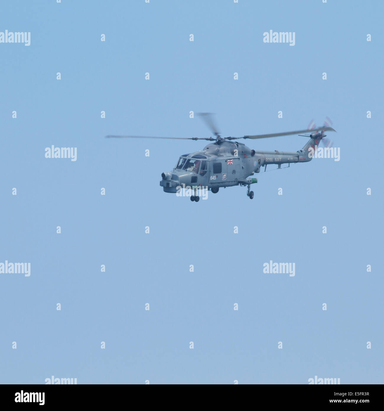 Flying black cats hi-res stock photography and images - Alamy