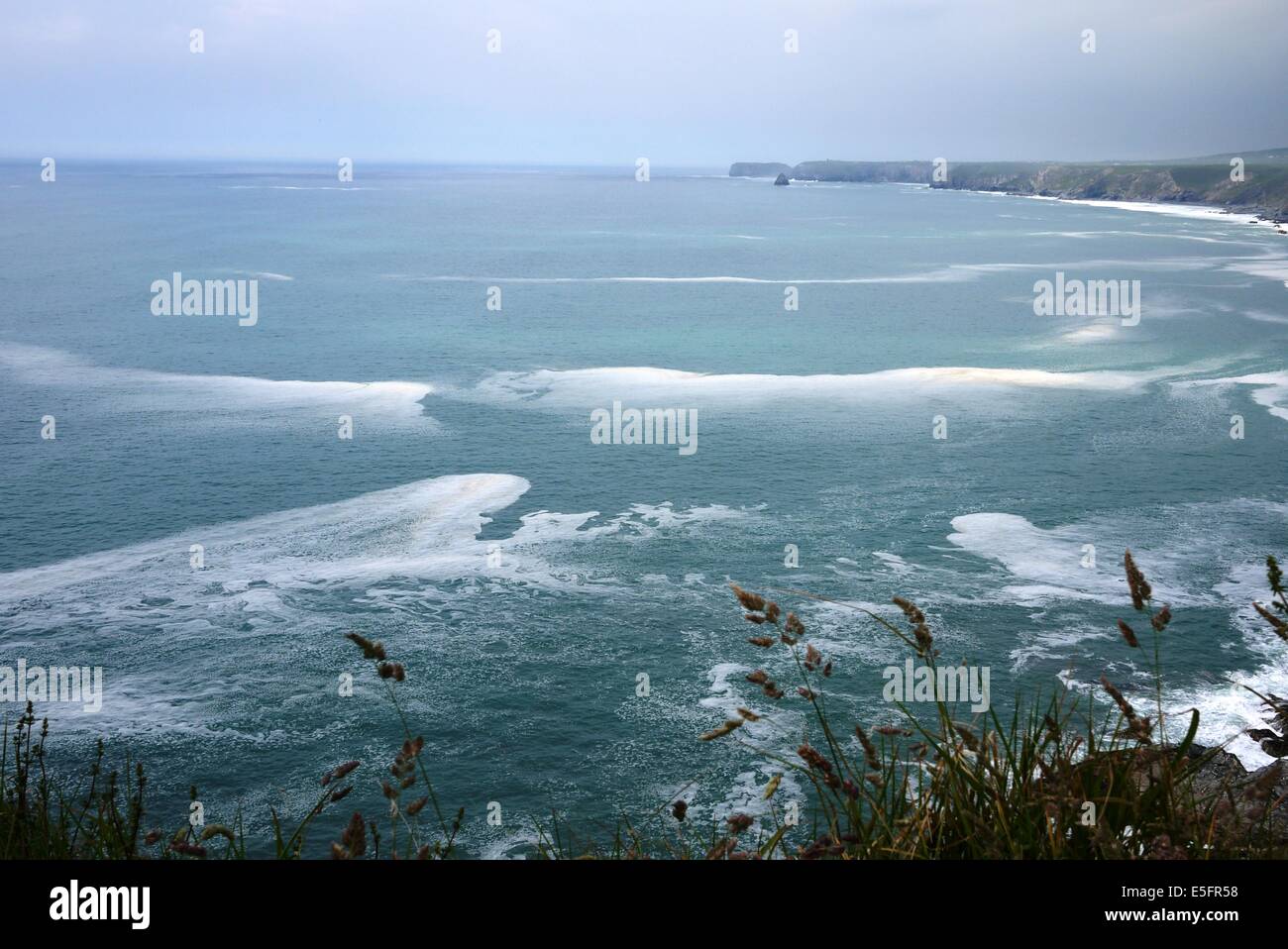 Cornish coast line, near Tintagel Cornwall Stock Photo - Alamy