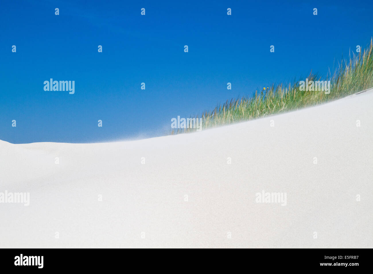Wind blowing sand hi-res stock photography and images - Alamy